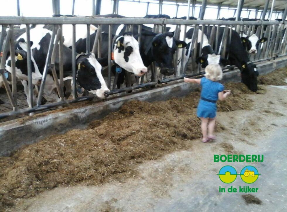 Certificaat Belevend Leren | Boerderij in de Kijker